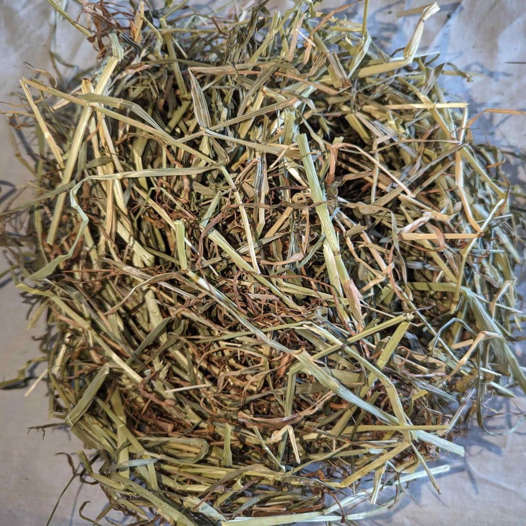 Grass Hay for Rabbits, Guinea Pigs - Fresh, Nutritious, Australian ...