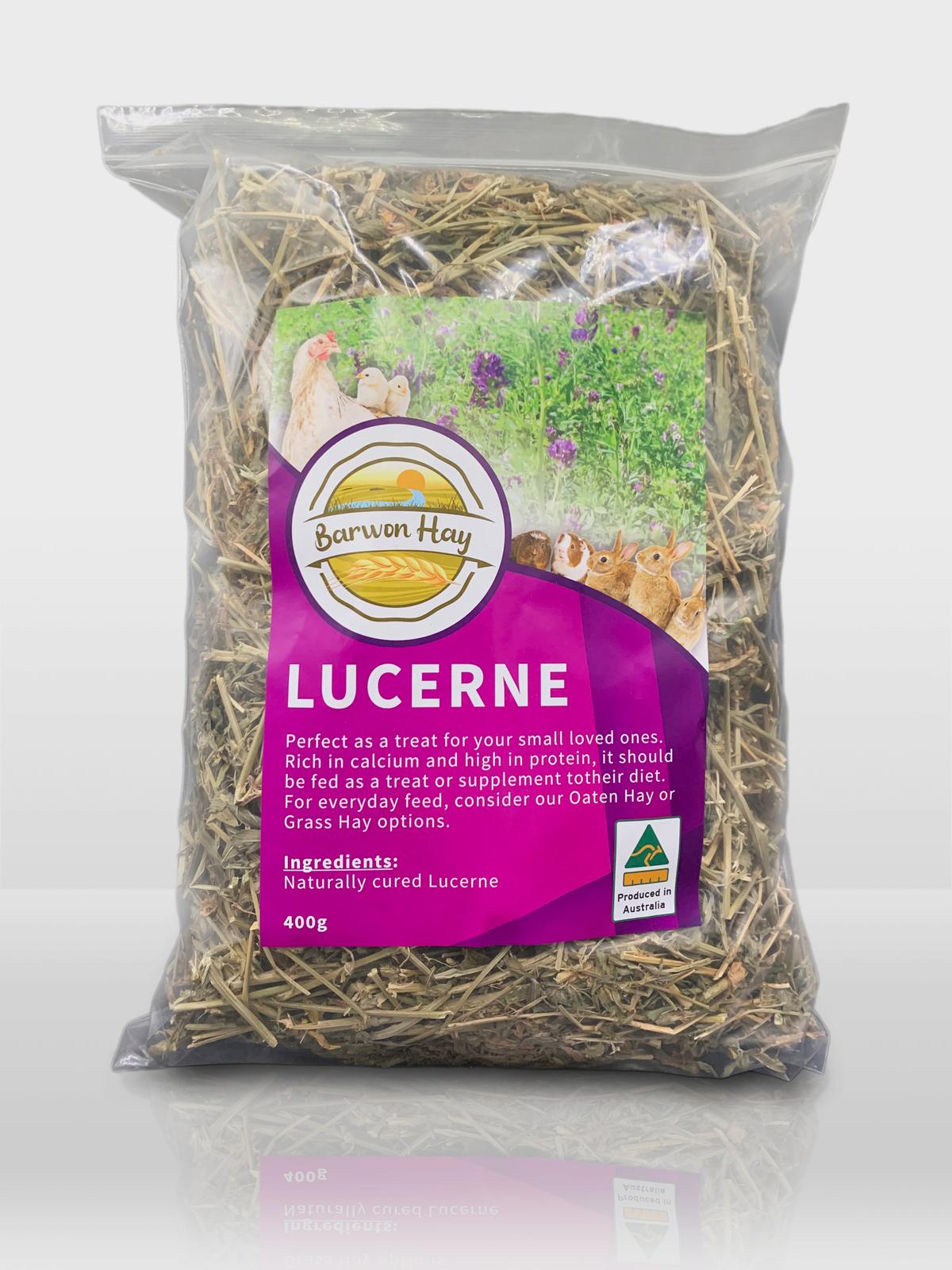 Lucerne Alfalfa Hay for Pets - Rich in Nutrients, Australian| Barwon Hay