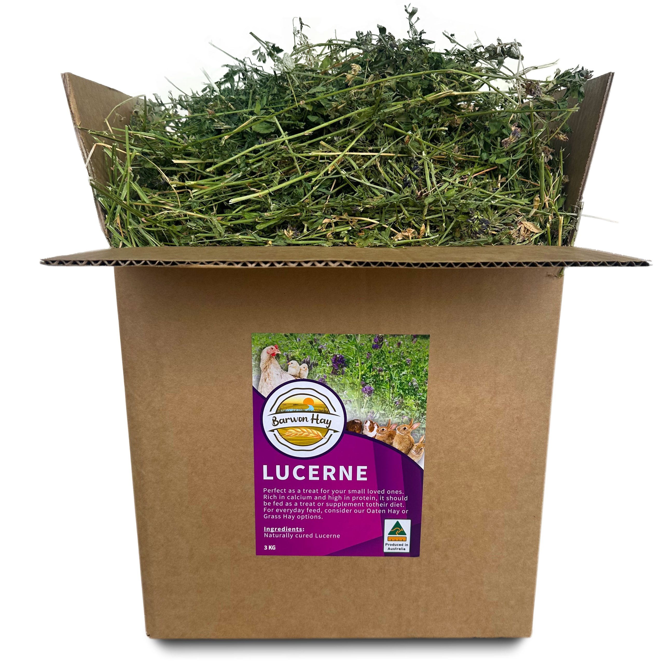 Lucerne Alfalfa Hay for Pets - Rich in Nutrients, Australian | Barwon Hay