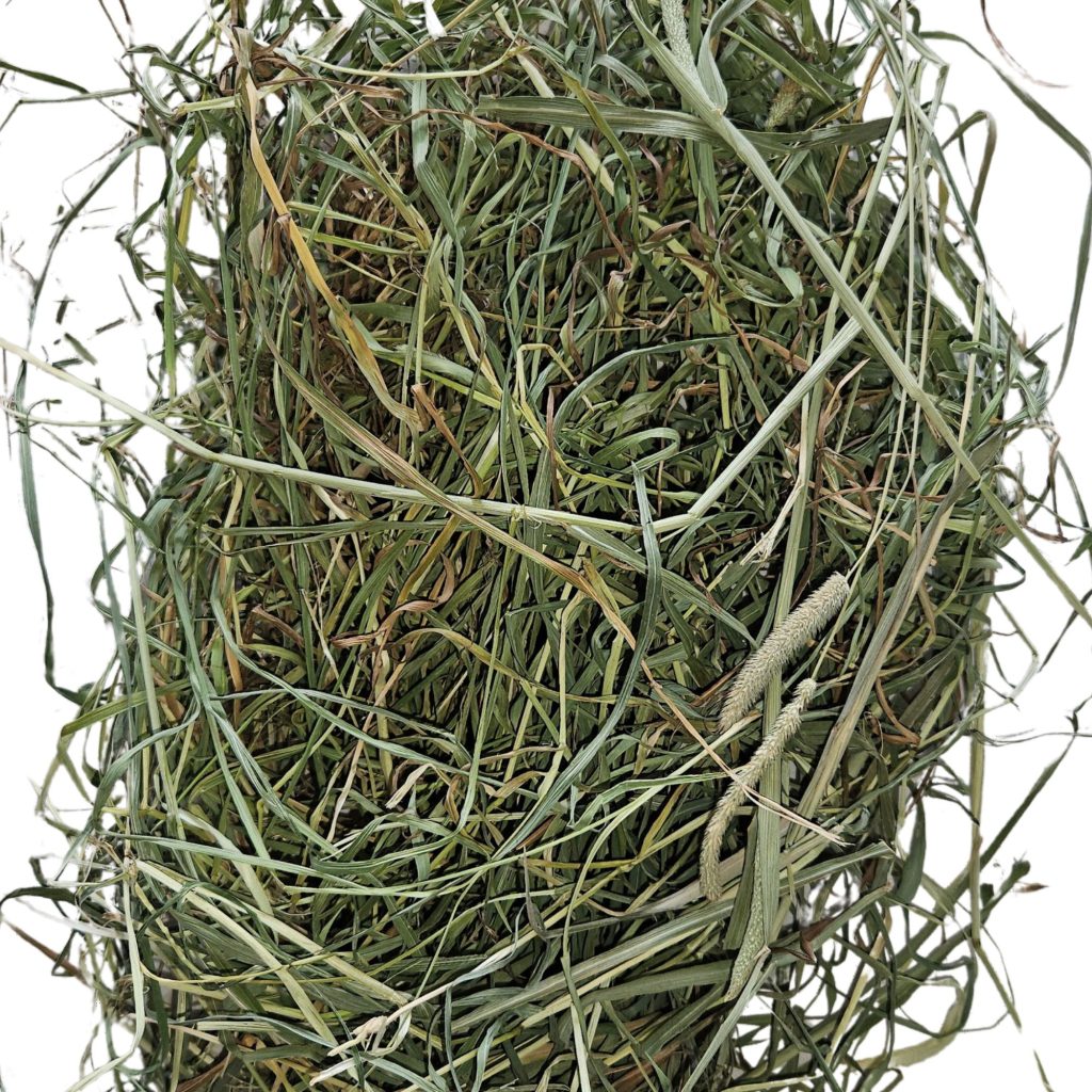 Timothy Hay for Rabbits & Guinea Pigs Australia | Barwon Hay